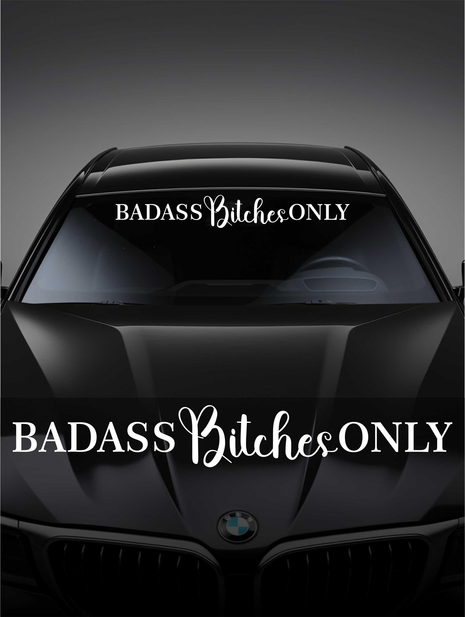 Badass Bitches Only - Plotted Vinyl Banner Decal, Windshield Banner ...