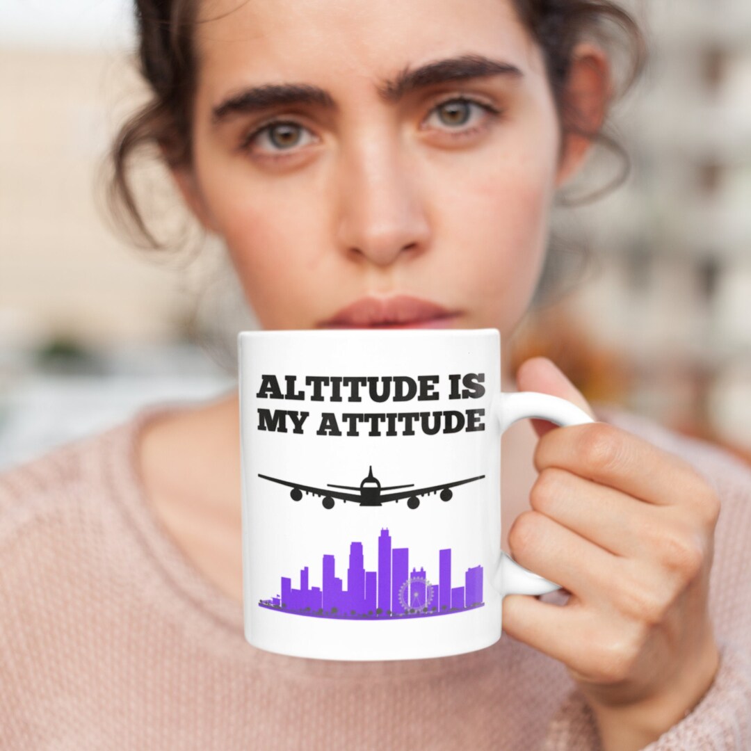 Plane Mug, Aviation Nerd, Plane Fan, Gift for Boyfriend, Girlfriend ...