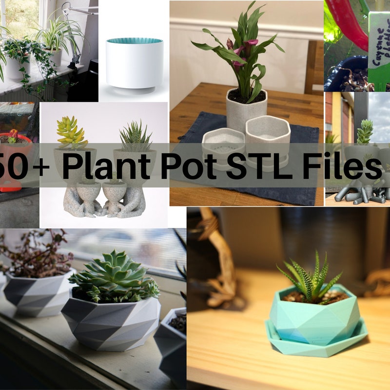 Hanging Plant Pot Stl - Etsy