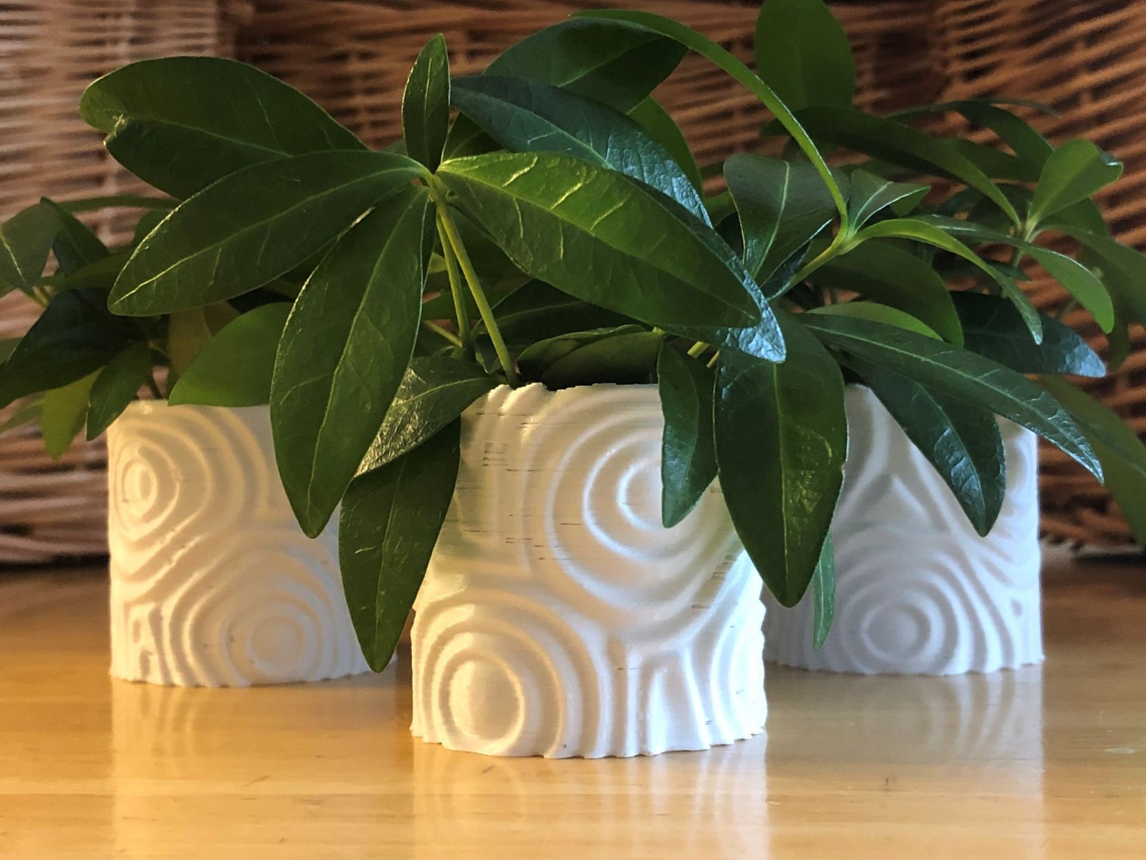 Wavy Vases Pots Number's & Letters STL Files 3D Files - Etsy