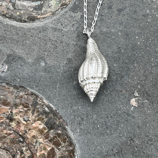 Shell Necklace - Etsy