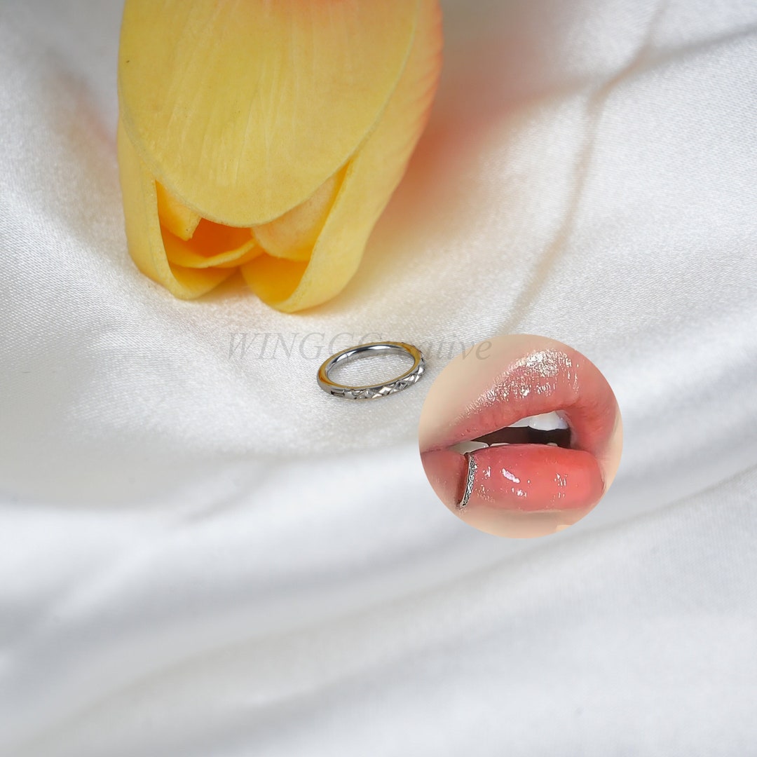 Minimalist Round Lip Ring, Titanium Steel Stud, Personality Lip Stud ...