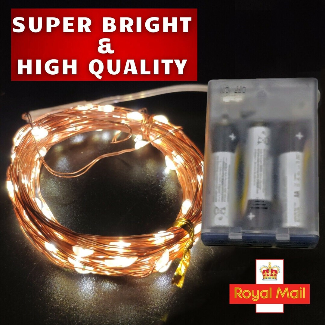 Copper Fairy Lights 100 Micro Rice Wire LED String Lights 10M Battery ...