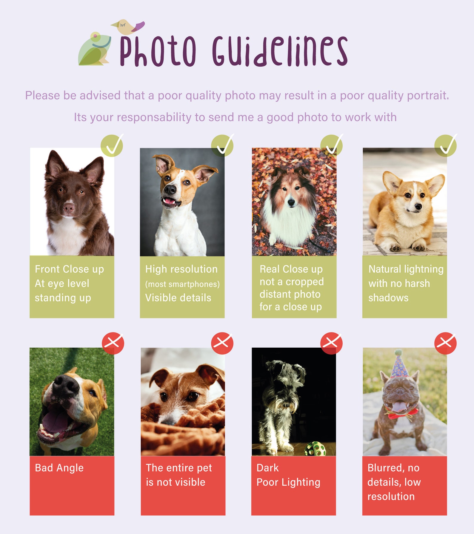 Custom Parrot Portrait Real Parrot Portrait Bird Owner Gift - Etsy