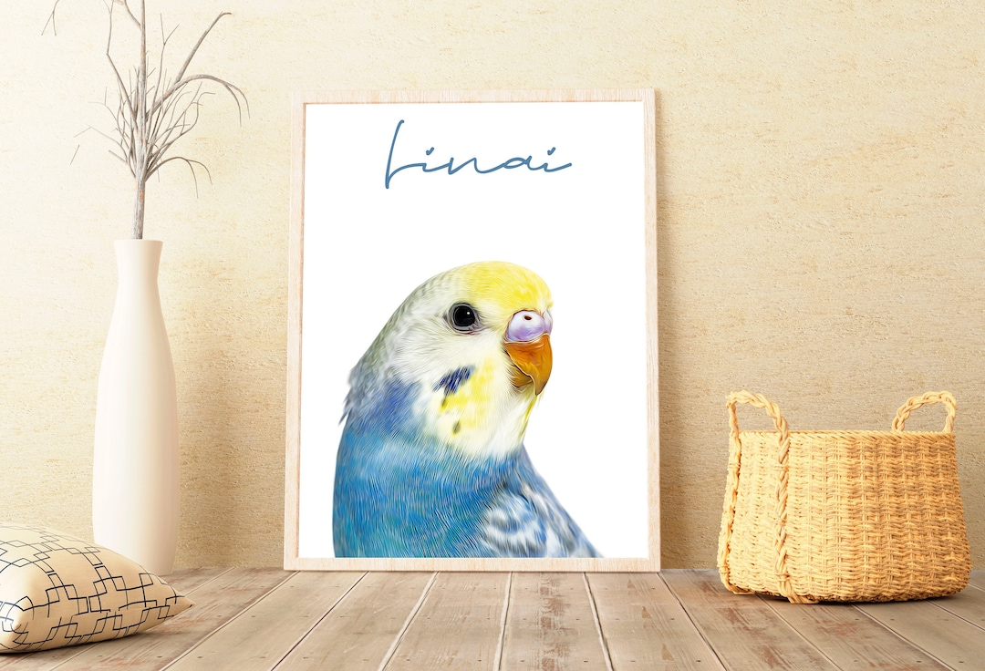 Budgie Pet Portrait From Photo, Bird Portrait Customized, Parakeet ...