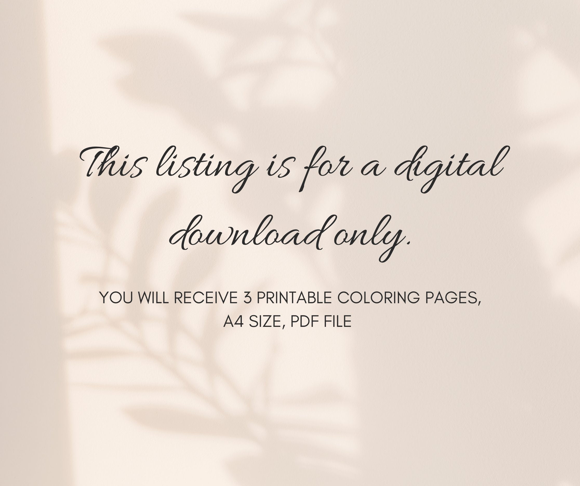 Spring 3 Pack Printable Colouring Pages/digital Download PDF File A4 ...