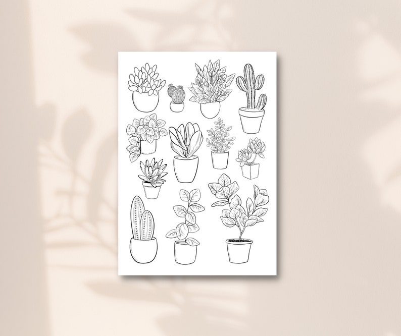 3 Pack Plant Printable Coloring Pages Digital Download PDF File A4 ...