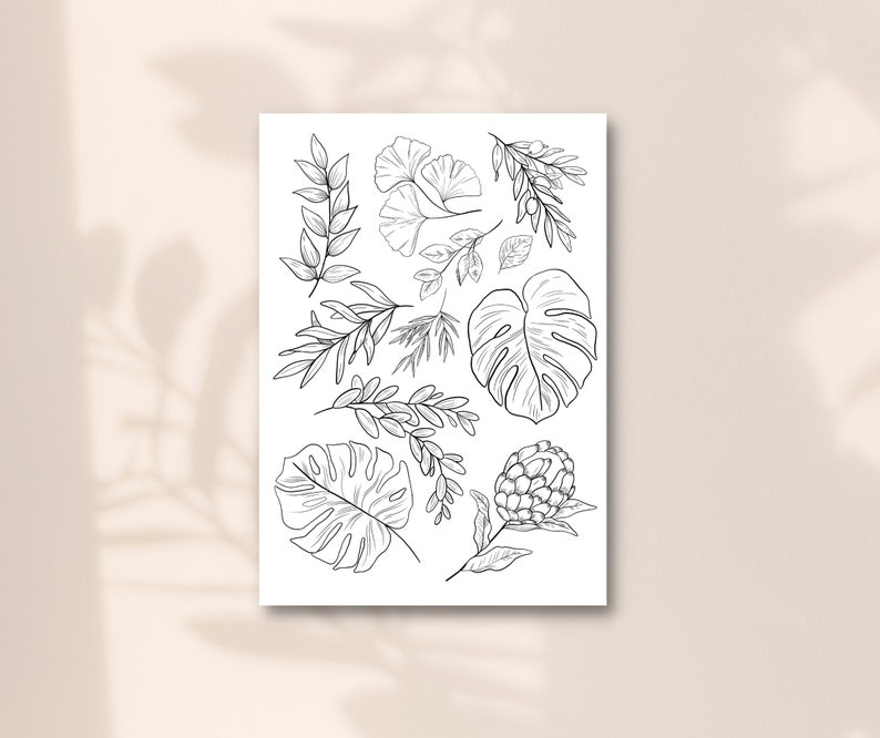 3 Pack Plant Printable Coloring Pages Digital Download PDF File A4 ...