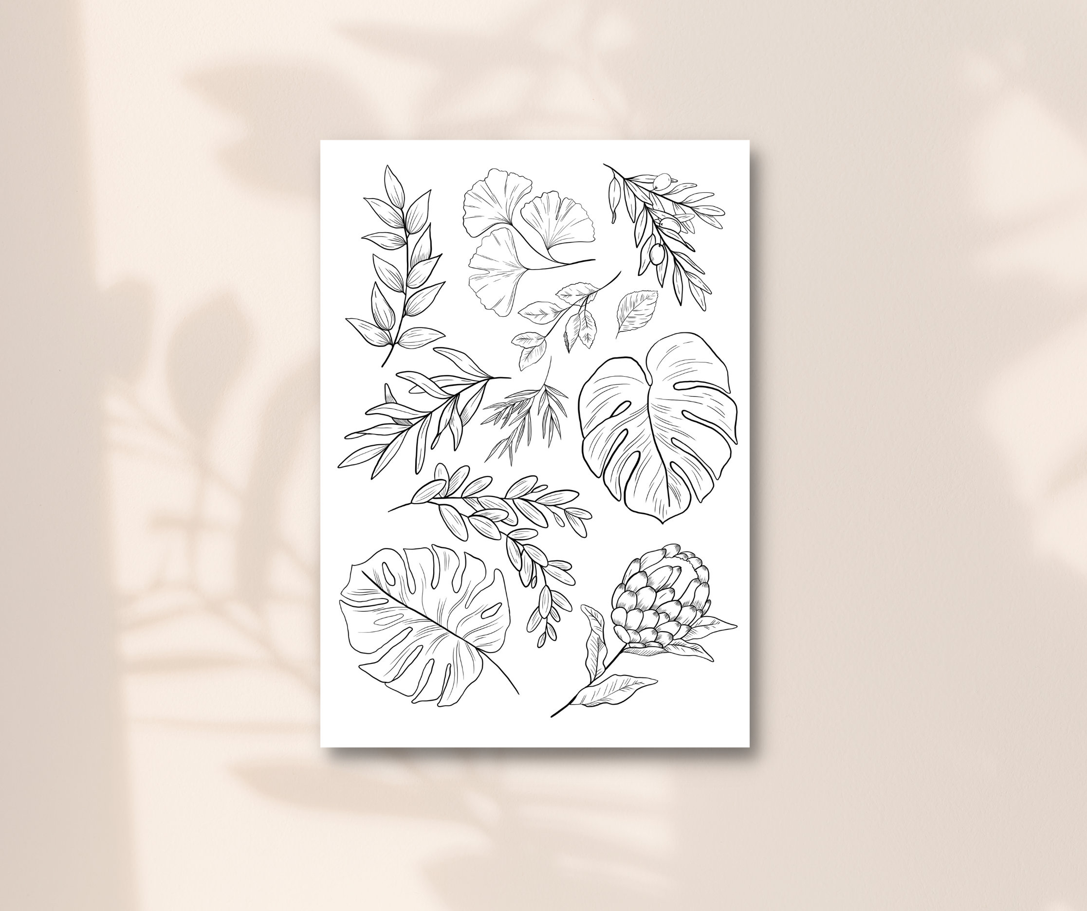 3 Pack Plant Printable Coloring Pages Digital Download PDF File A4 ...
