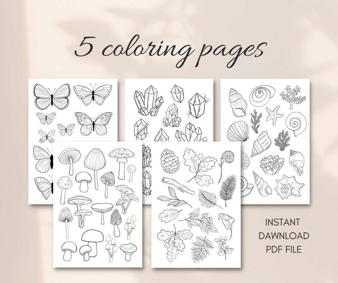 5 Nature Inspired Printable Coloring Pages Digital Download PDF File A4 ...