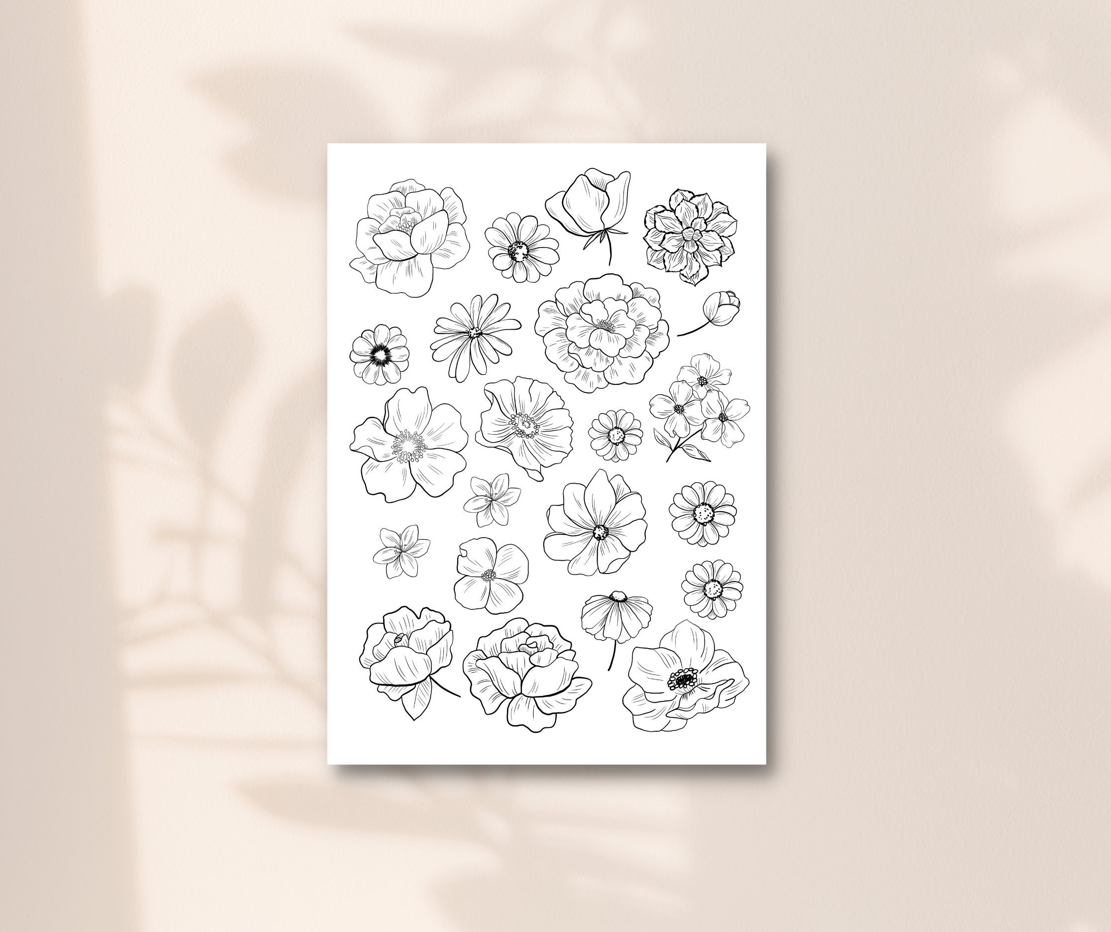 3 Pack Plant Printable Coloring Pages Digital Download PDF File A4 ...
