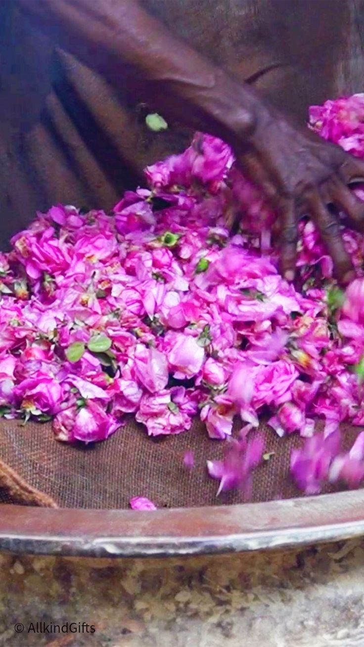 Premium Rose Perfume Oil | Attar Oil | Alcohol-free | Vegan & Cruelty ...