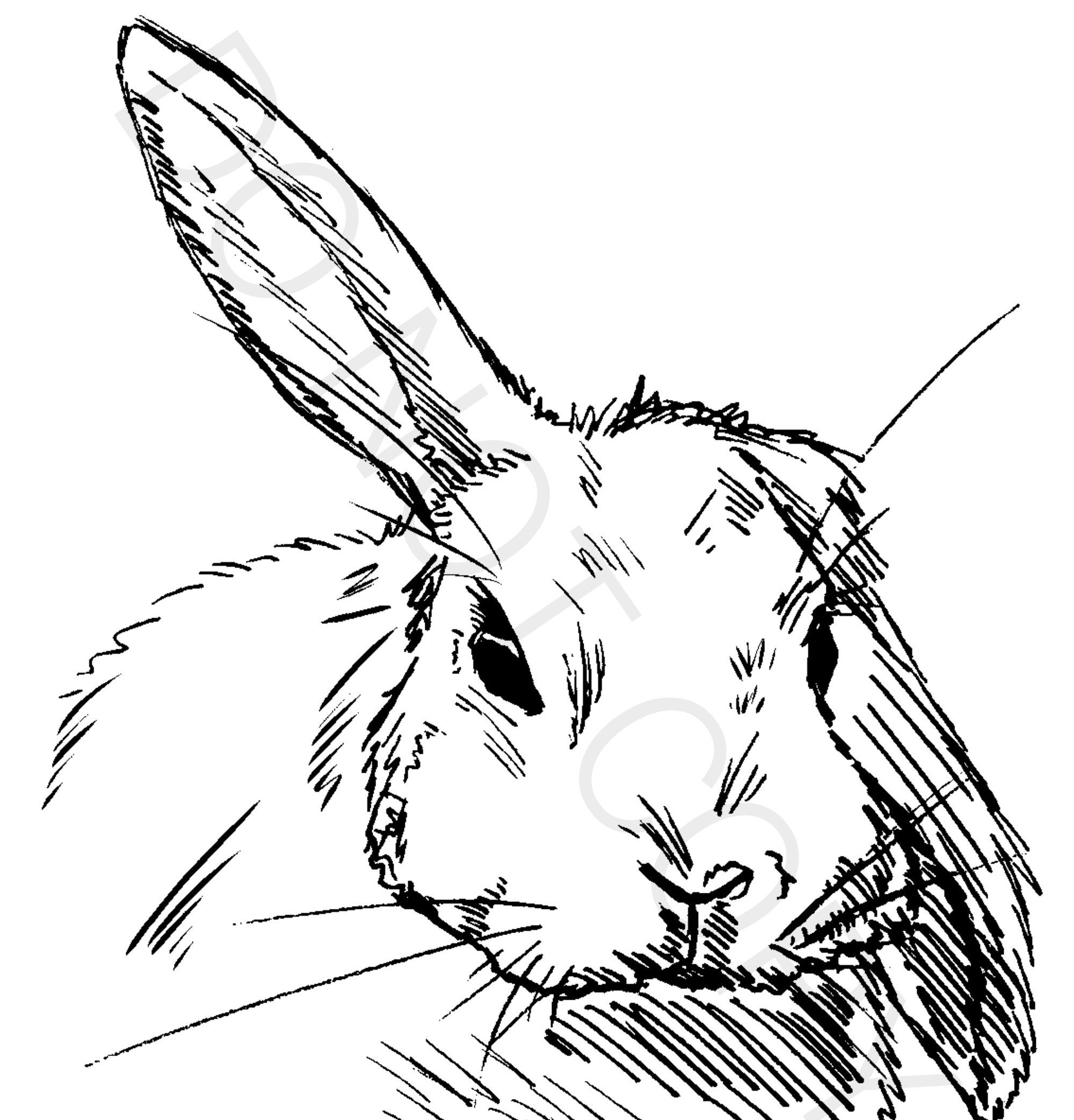Rabbit Printable Wall Art | Animal Wall Art 3 Prints | Digital Download ...