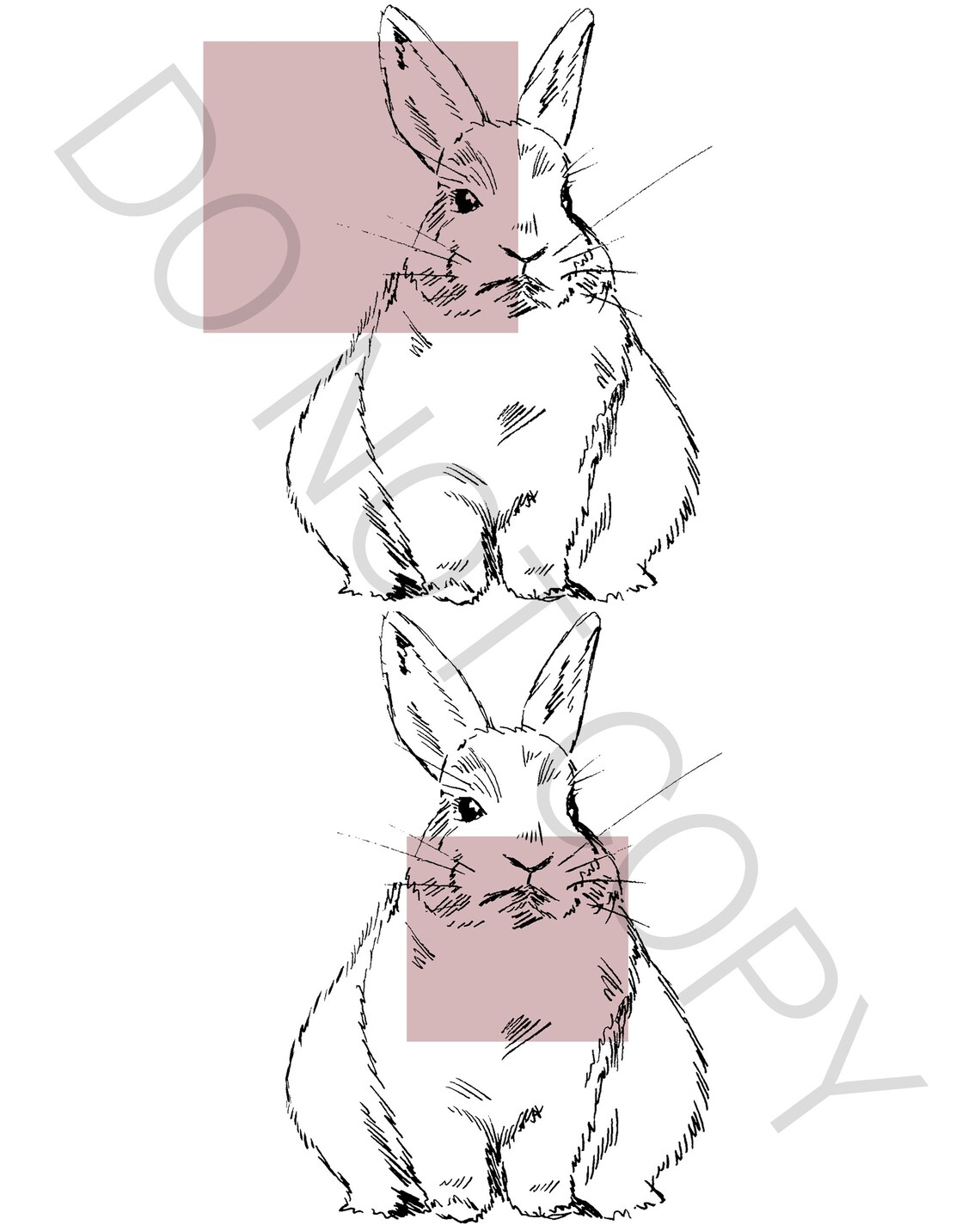 Rabbit Printable Wall Art | Animal Wall Art| 3 Prints | Digital ...