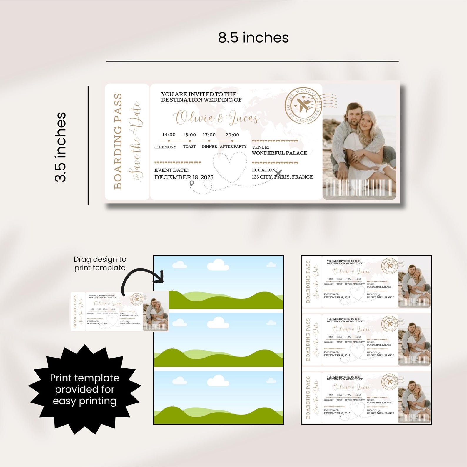 Editable Boarding Pass Template: DIY Printable Airline Ticket (digital ...