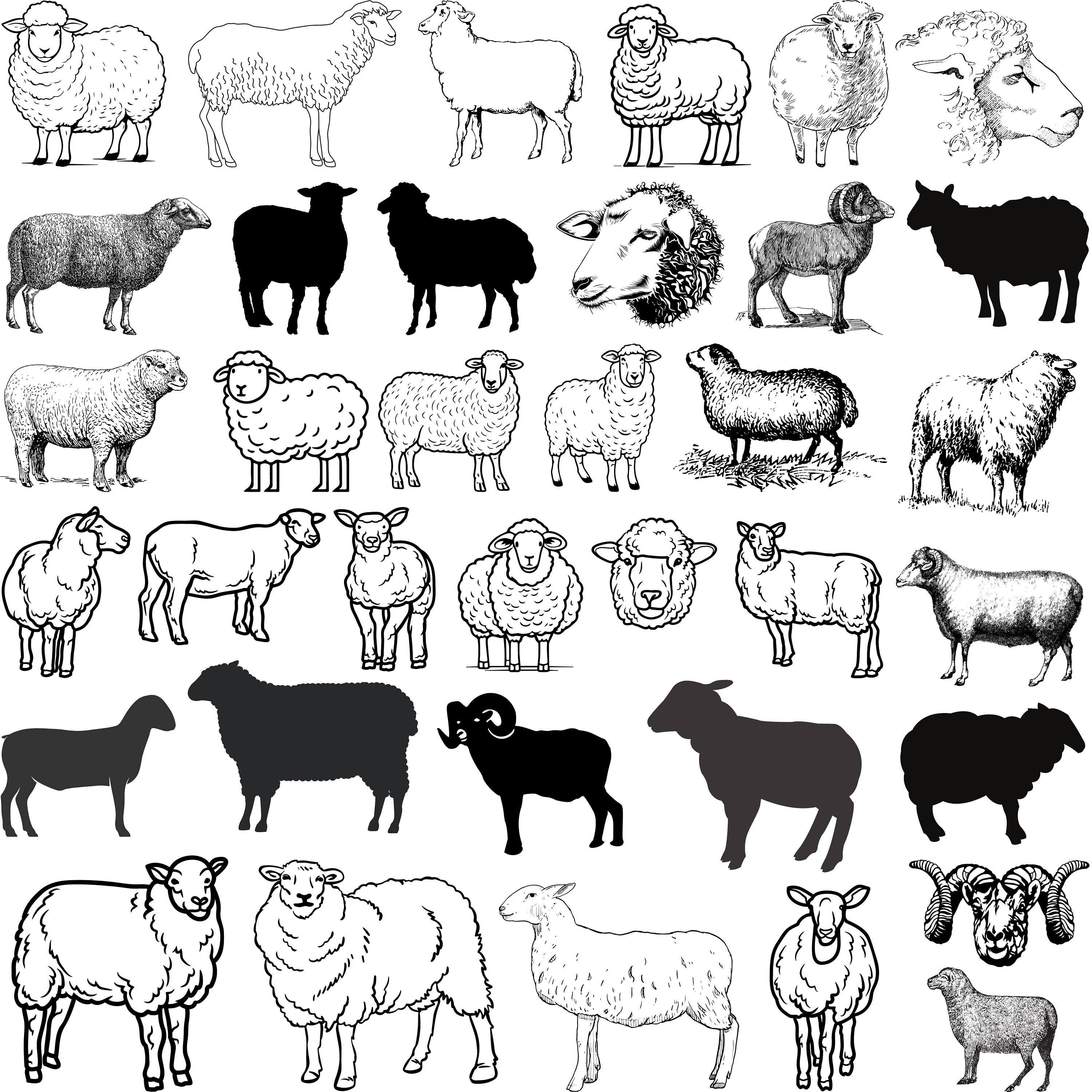 Sheep SVG Bundle Sheep Head Svg Sheep Face Svg Sheep - Etsy Australia