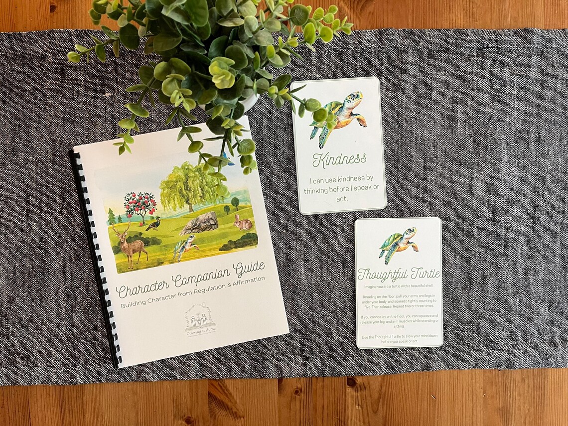 Character Companion Cards and Guide - Etsy