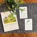 Character Companion Cards and Guide - Etsy