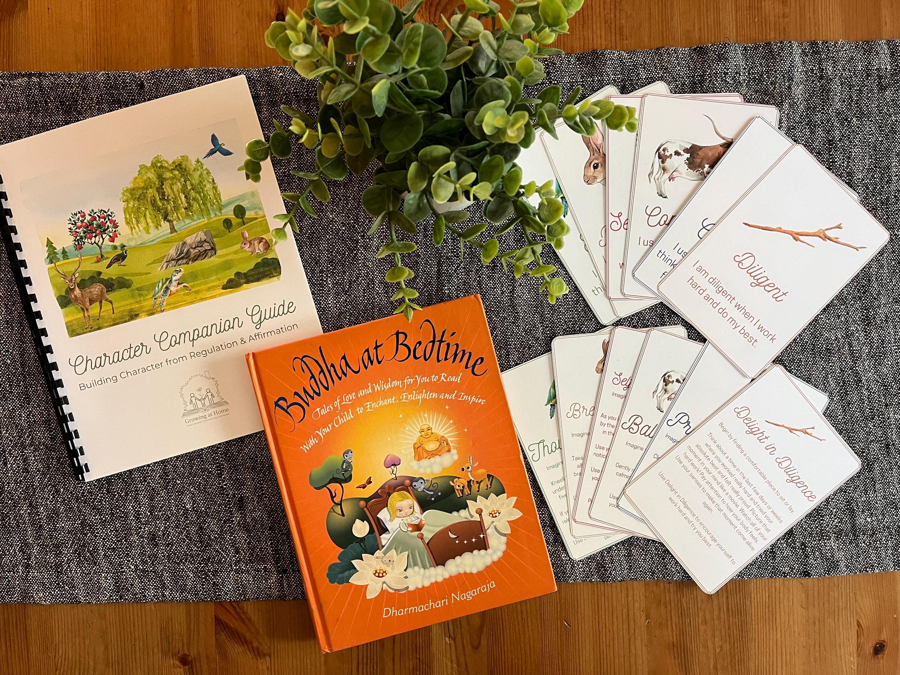 Character Companion Cards and Guide - Etsy