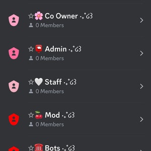 Red/pink Aesthetic Discord Template INSTANT DOWNLOAD - Etsy