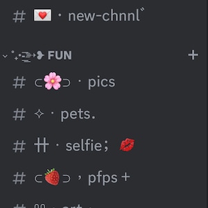 Red/pink Aesthetic Discord Template INSTANT DOWNLOAD - Etsy