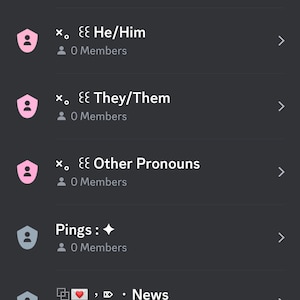 Red/pink Aesthetic Discord Template INSTANT DOWNLOAD - Etsy