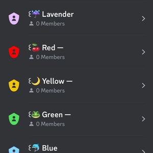 Red/pink Aesthetic Discord Template INSTANT DOWNLOAD - Etsy