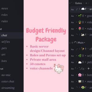 CUSTOM Aesthetic Discord Server for Gaming/twitch Personalized Discord ...