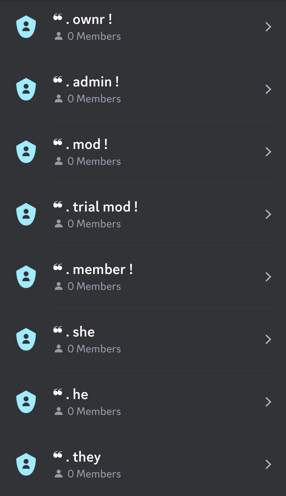 Aesthetic Blue Discord Server Template INSTANT DOWNLOAD - Etsy Canada