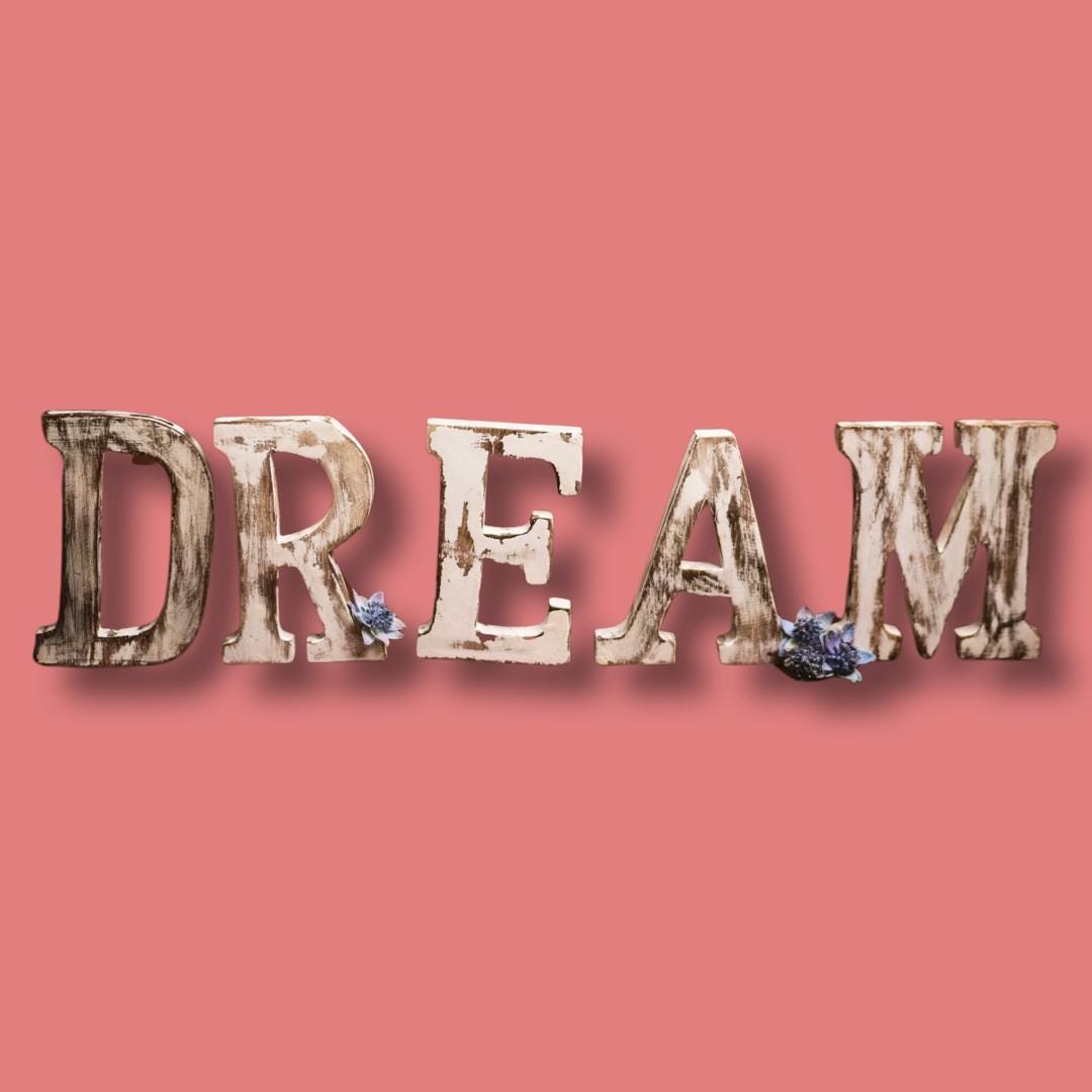 Dream Word Letters White Washed Driftwood Wood Bedroom Nursery Kids ...