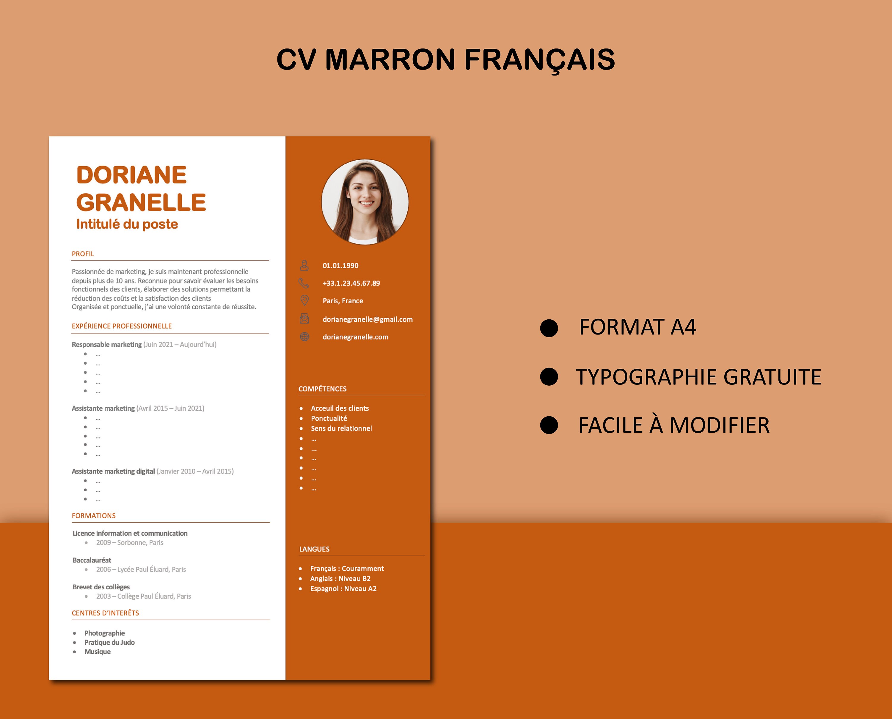 French Professional Resume Brown Resume Template Curriculum Vitae Word ...