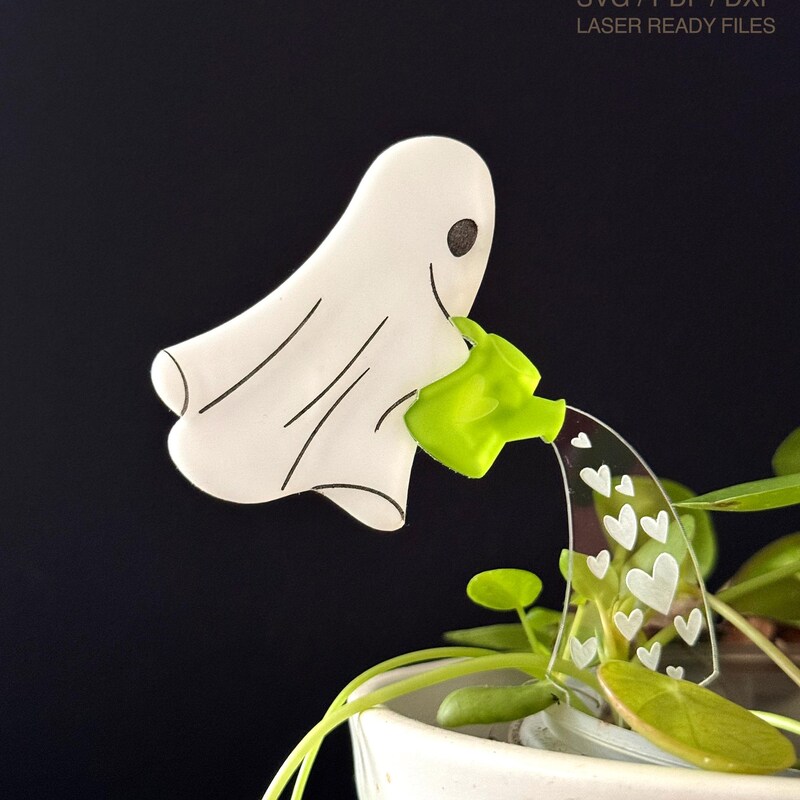 Ghost Plant - Etsy