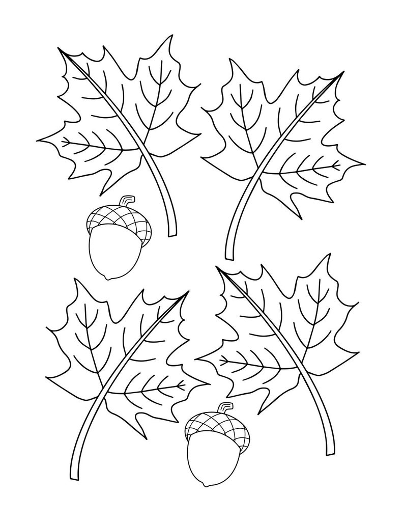 Autumn Coloring Pages Instant Download Ten Fall Themed - Etsy