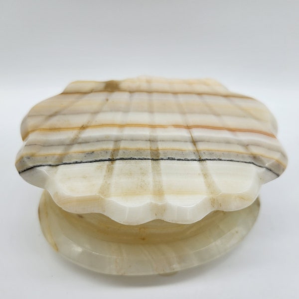 Clam Shell Jewelry - Etsy