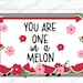 Classroom Door Decor, One in a Melon Bulletin Board Kit, Sweet Summer ...