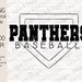 Panthers Baseball PNG, Mascot Baseball Sublimation Tshirt Design ...