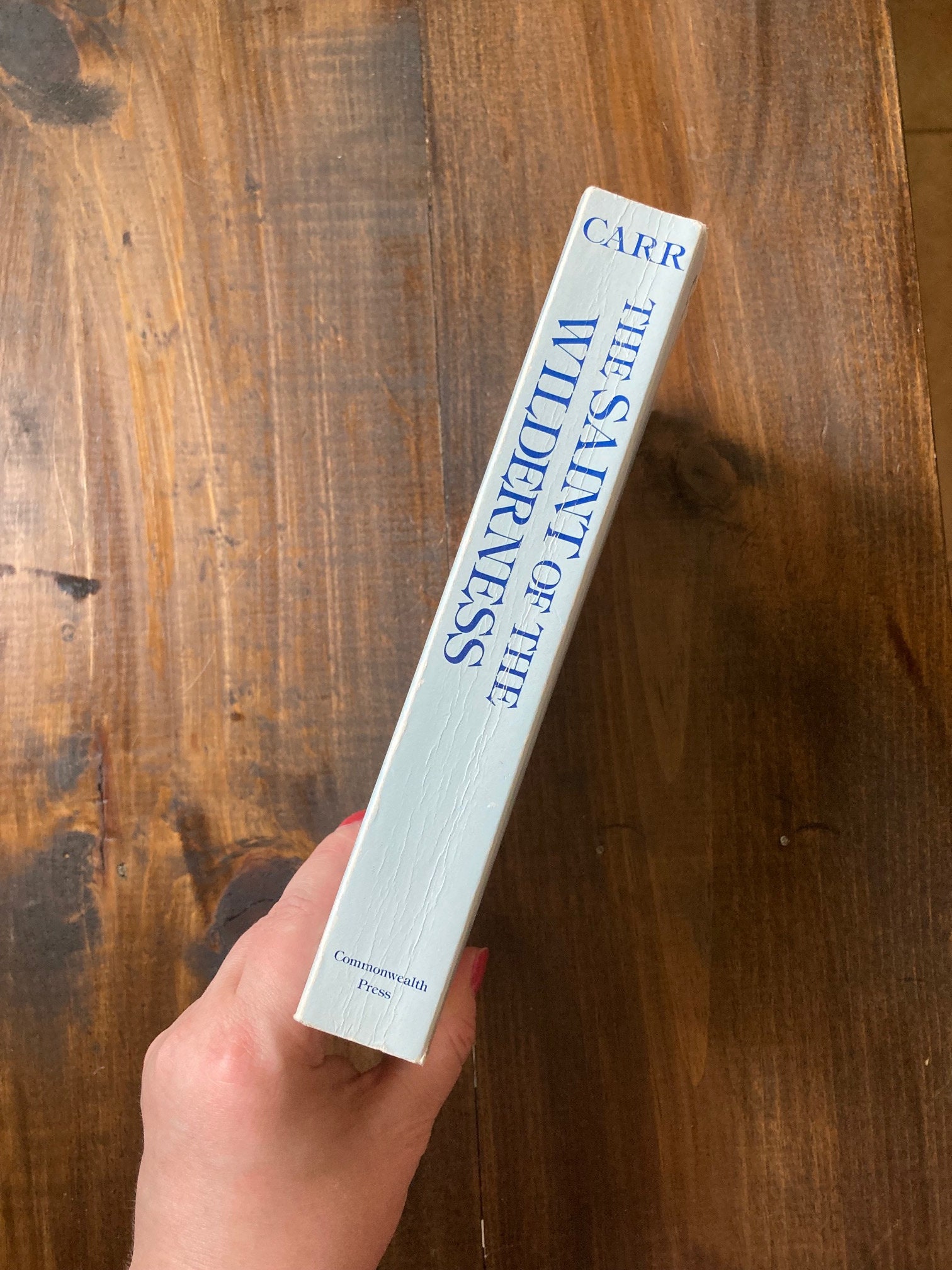 The Saint of the Wilderness: a Biographical Novel Depicting the Life and Work of Robert Sayers ...