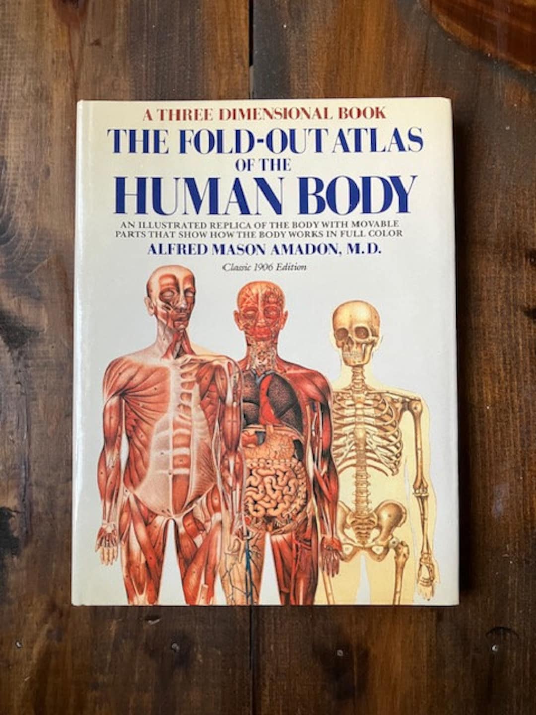The Fold-out Atlas of the Human Body: an Illustrated Replica of the ...