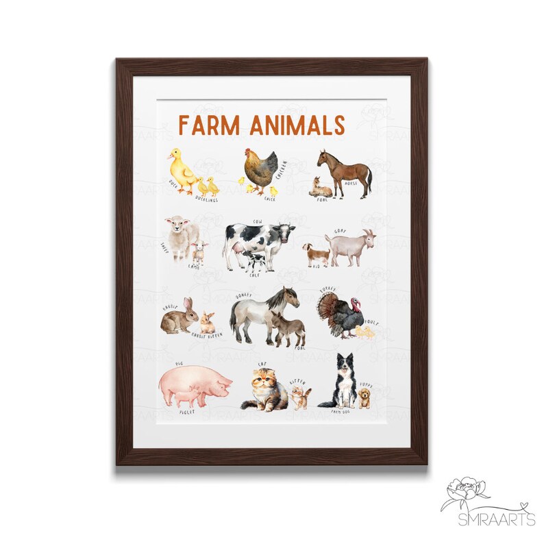 Farm Animal Nursery Print, Educational Poster (digital Download) - Etsy