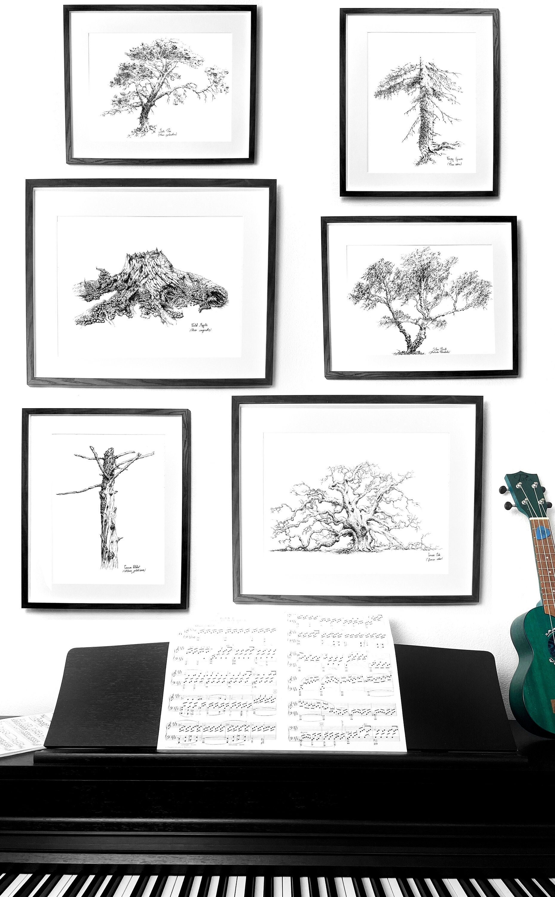 Set of 6 Prints tree Species: Wall Art Illustrations in Digital Files ...
