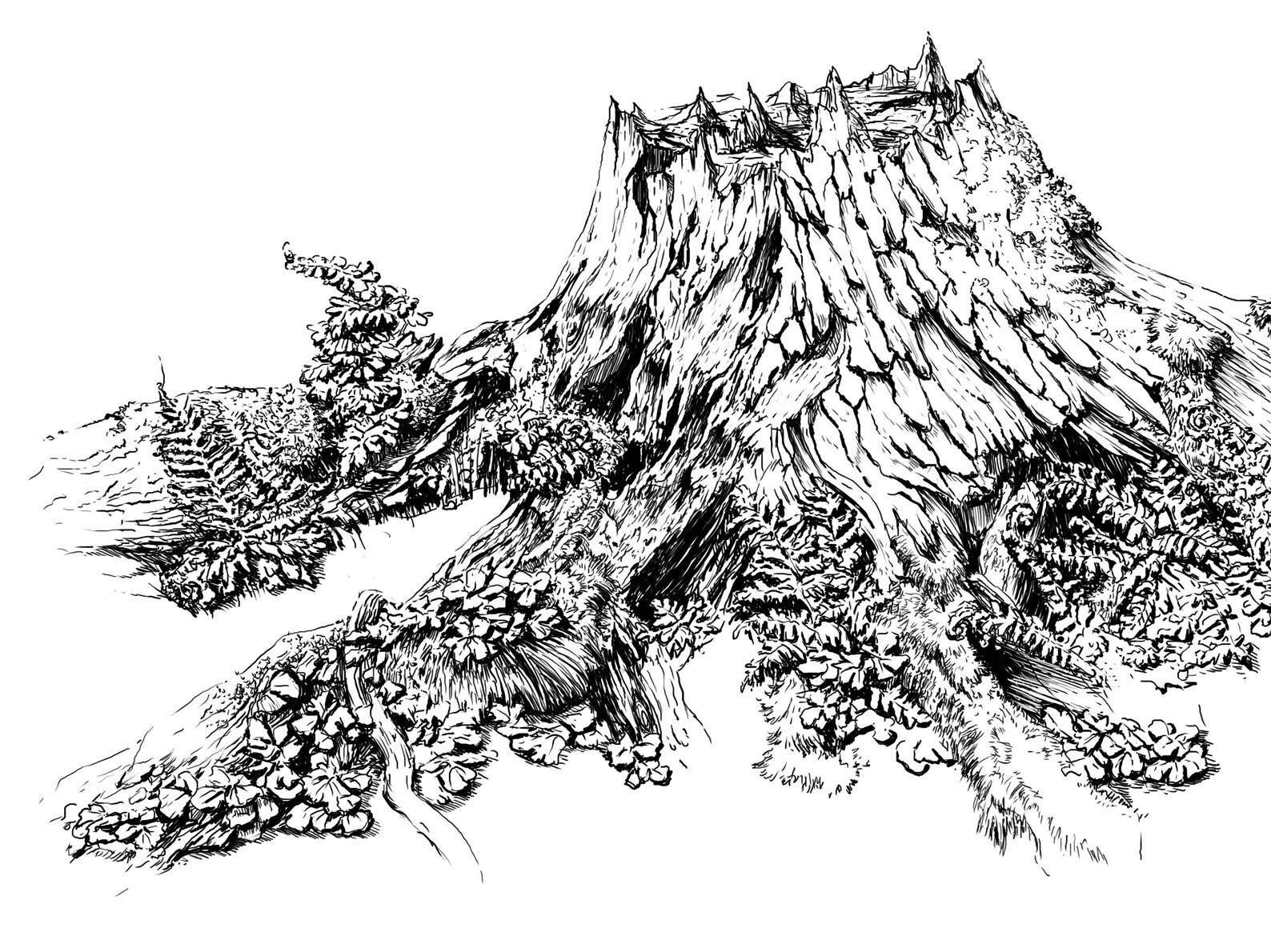 Set of 6 Prints tree Species: Wall Art Illustrations in Digital Files ...