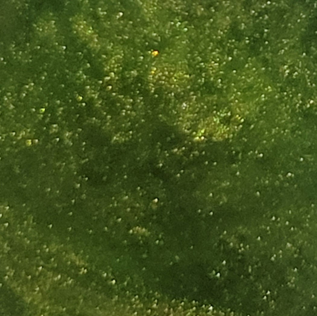 Runes Epoxy Resin complete Set - Etsy