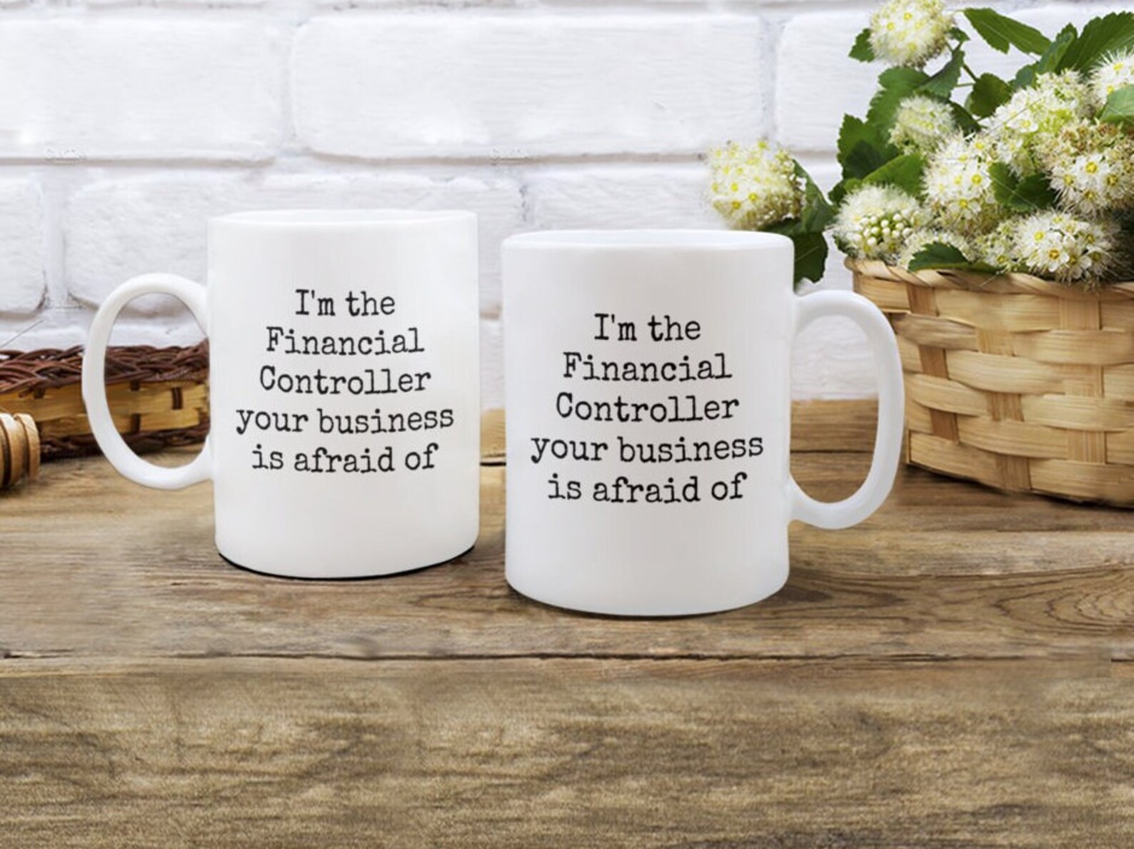 Account Controller, Financial Controller, Finance Controller, Finance ...