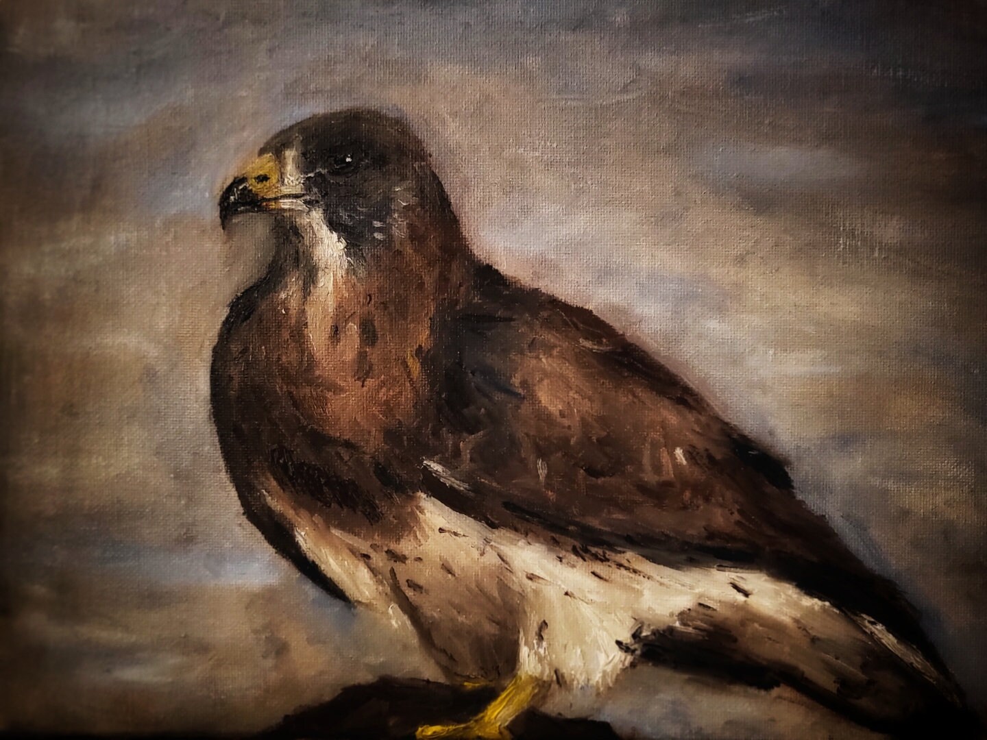 Hawk Oil Painting