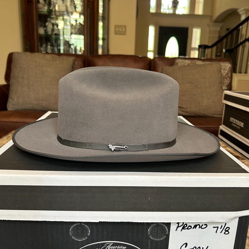 Stetson Hat - Etsy