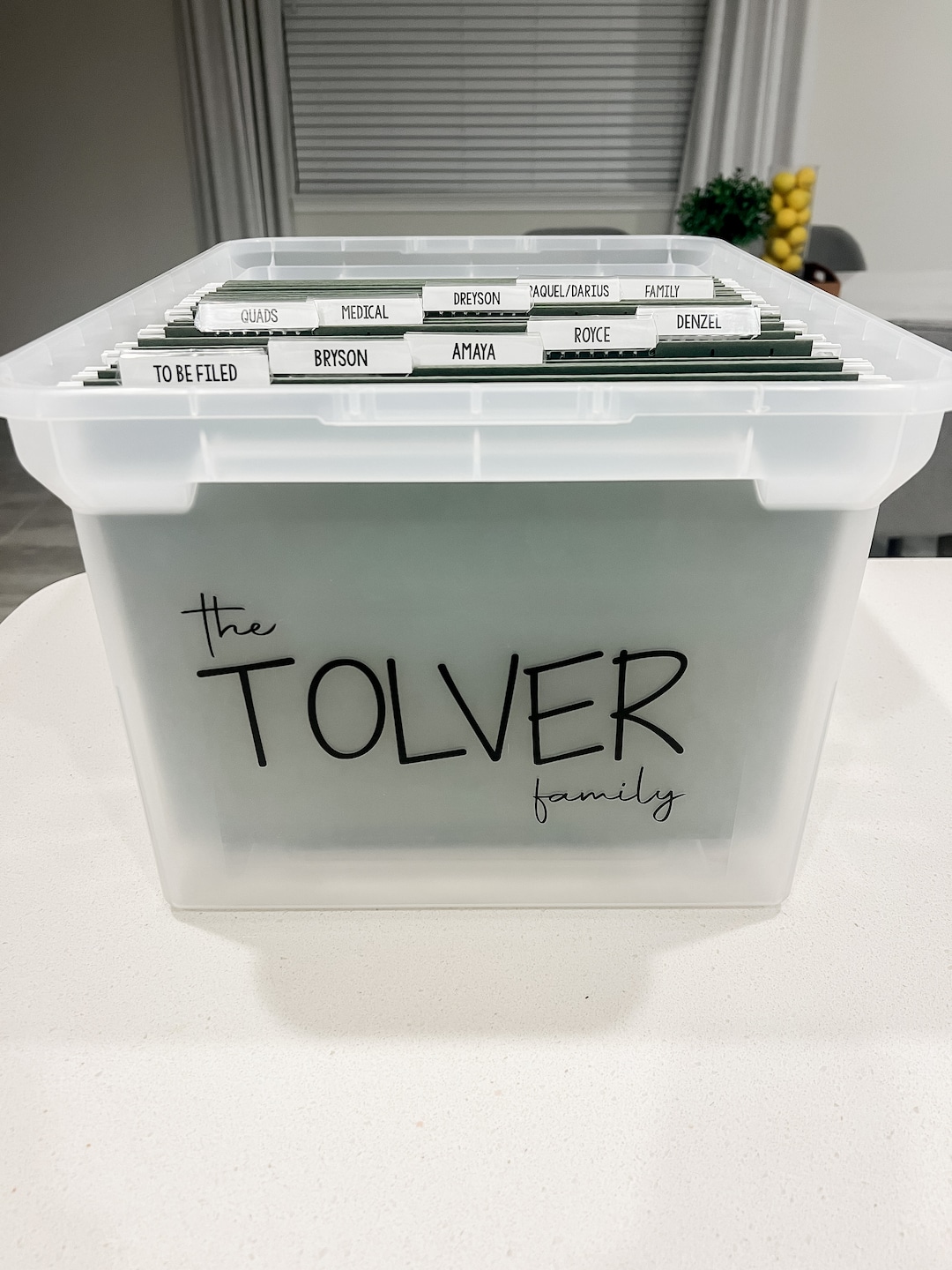 Family Document Box-free SHIPPING Paperwork Organizer Bin - Etsy