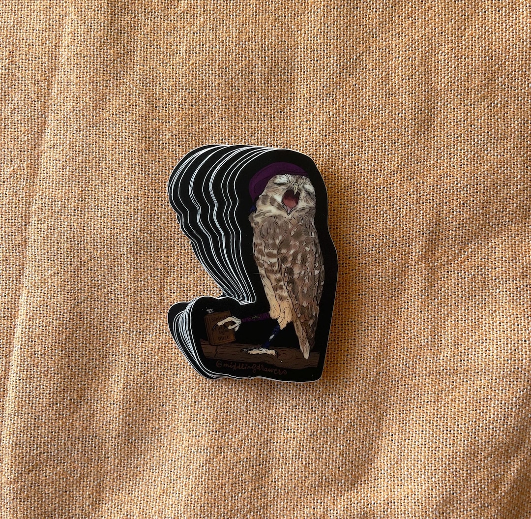Sleepy (book Worm) Burrowing Owl - Hand Drawn Sticker - Etsy