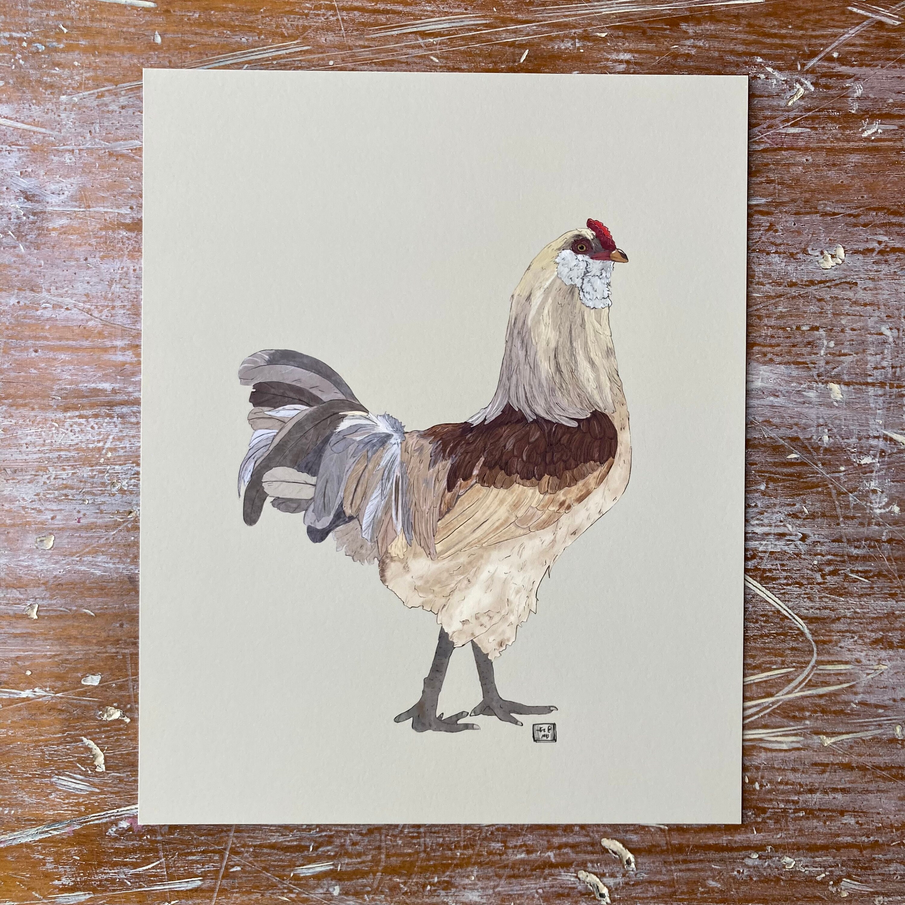 Dear Sir the Easter Egger Rooster Hand Drawn 8x10 Small Batch Print - Etsy
