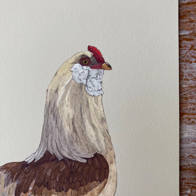 Dear Sir the Easter Egger Rooster Hand Drawn 8x10 Small Batch Print - Etsy