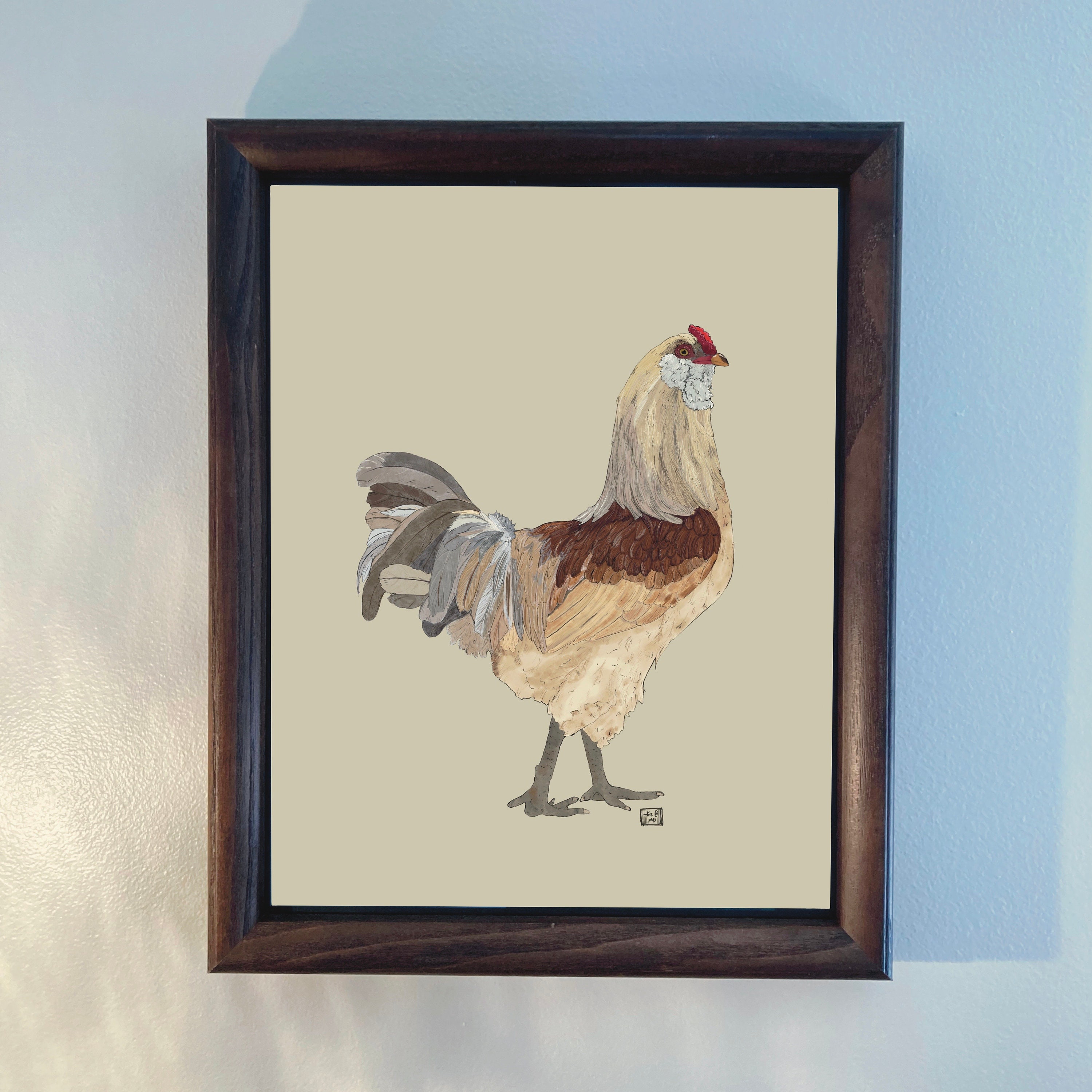 Dear Sir the Easter Egger Rooster Hand Drawn 8x10 Small Batch Print - Etsy